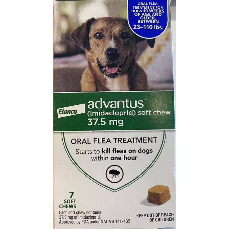 flea treatment