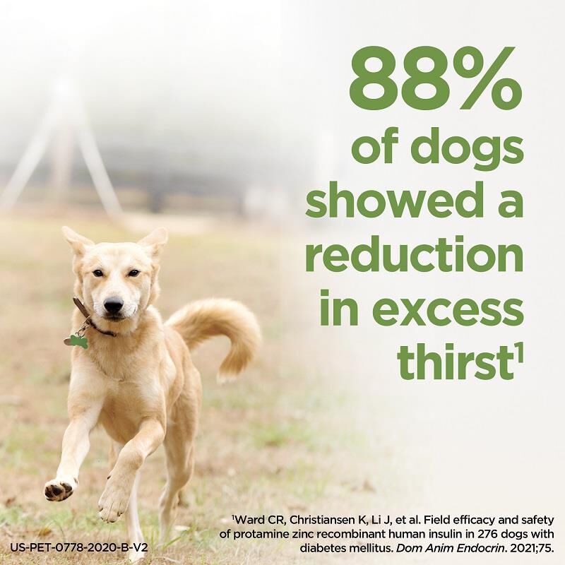 Buy ProZinc Insulin for Dogs and Cats, 10 ml Vial Online | Fetch Pet Rx